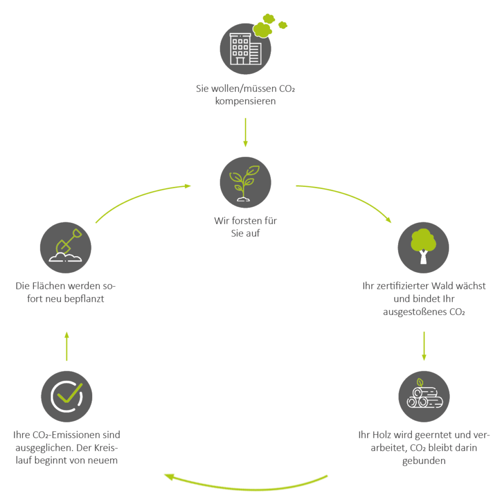 Bäume pflanzen und CO2 kompensieren für Unternehmen